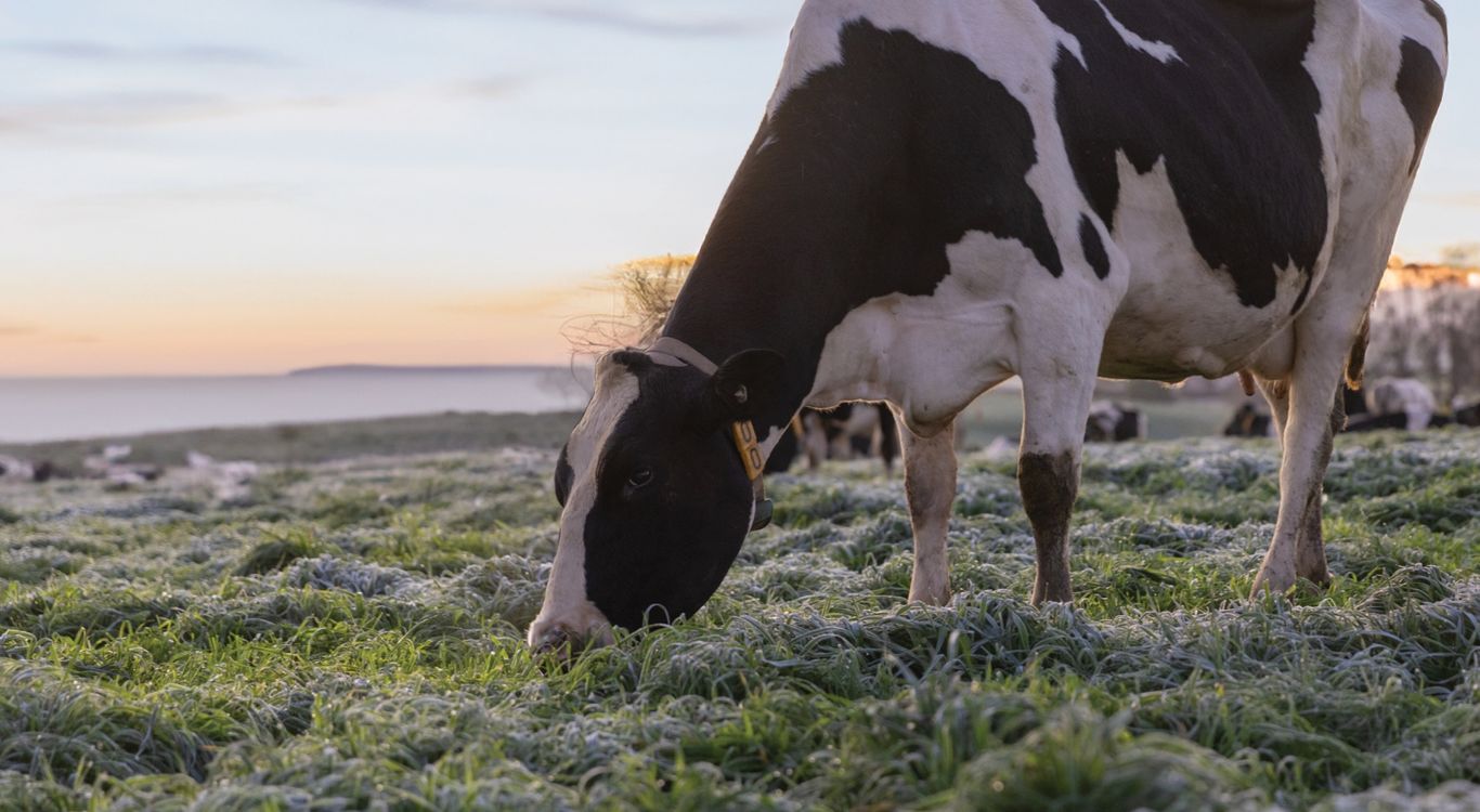 FIL Nelson - Tasman | FIL - NZ