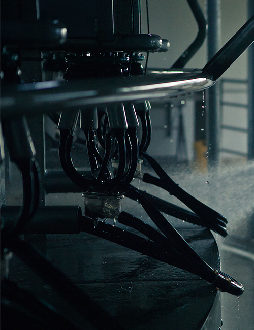 FIL | Dairy Cow Care - Dairy Hygiene - Farm Hygiene