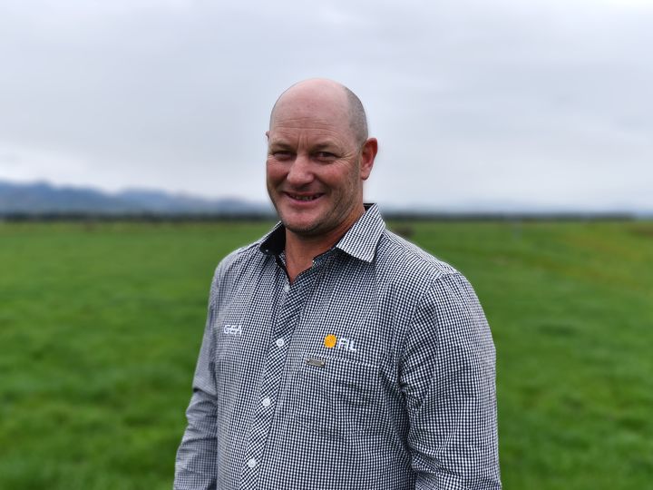 FIL Bay of Plenty | FIL - NZ