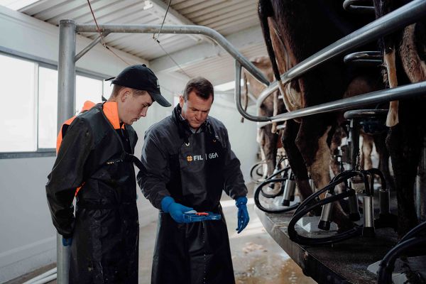 Rapid Mastitis Testing: When and why - News | FIL - NZ