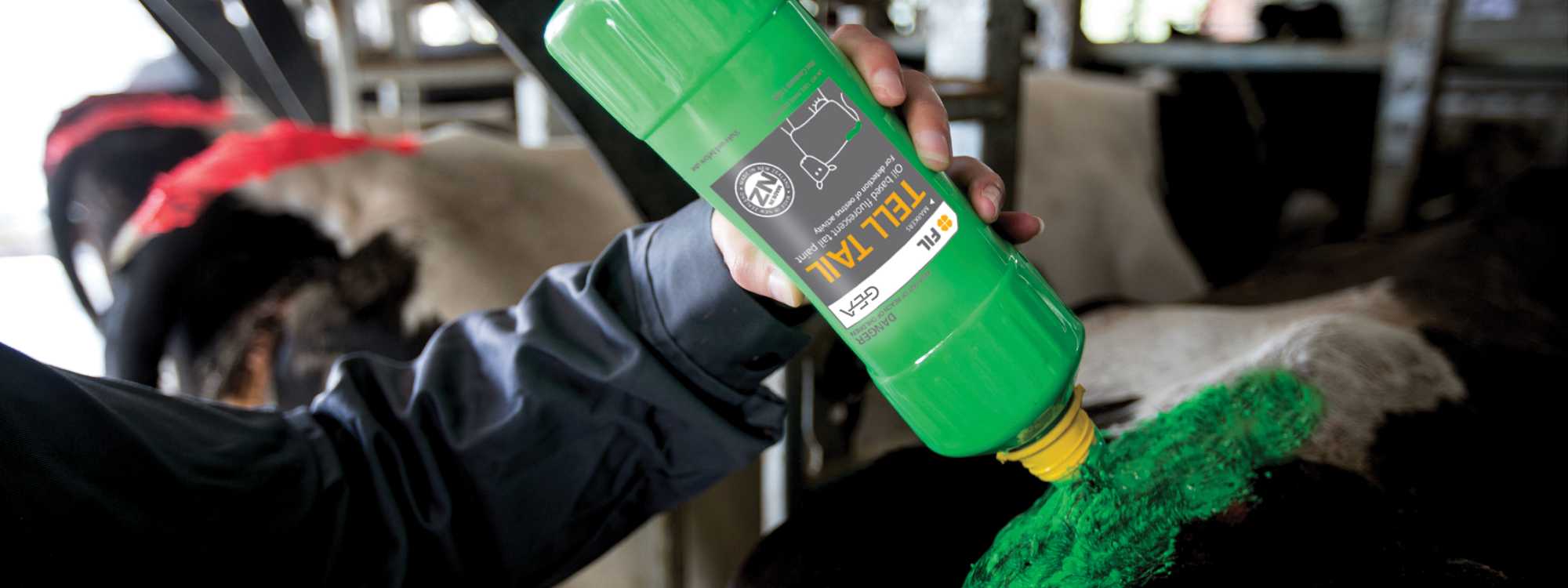 FIL | Dairy Cow Care - Dairy Hygiene - Farm Hygiene