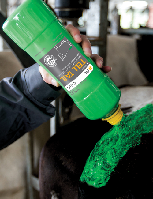 FIL | Dairy Cow Care - Dairy Hygiene - Farm Hygiene