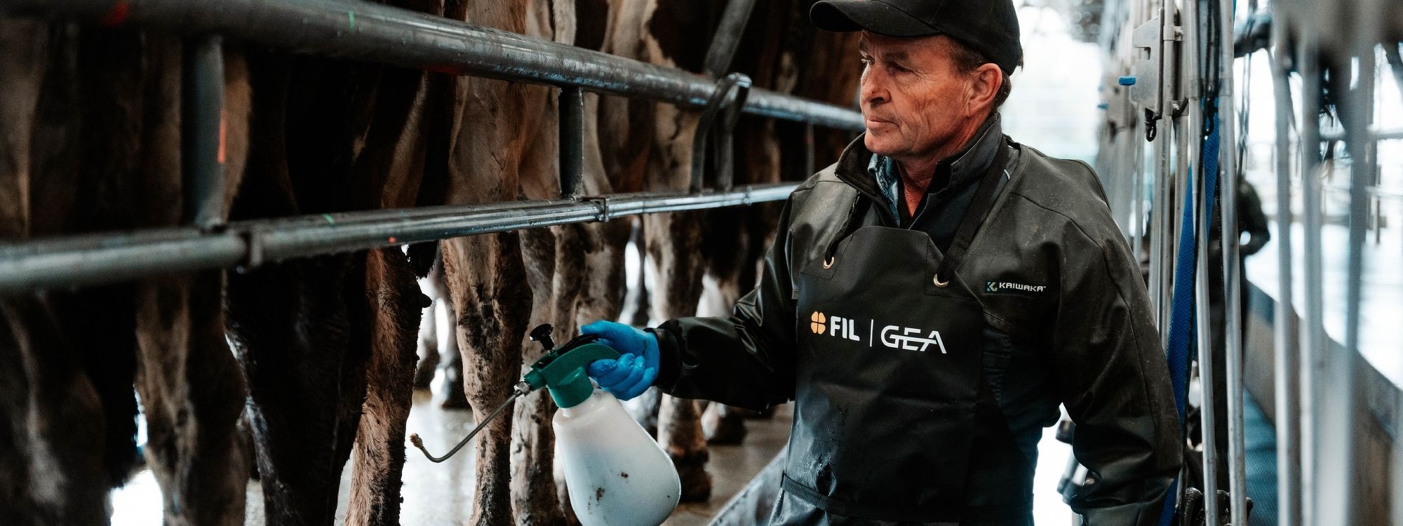 FIL Waikato | FIL - NZ